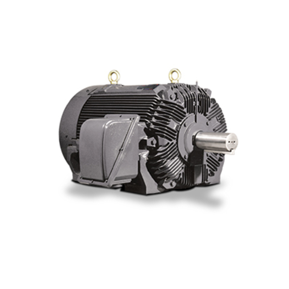 TECO CDP0406R Aggregate Duty Motor - Charlotte Electric Motors