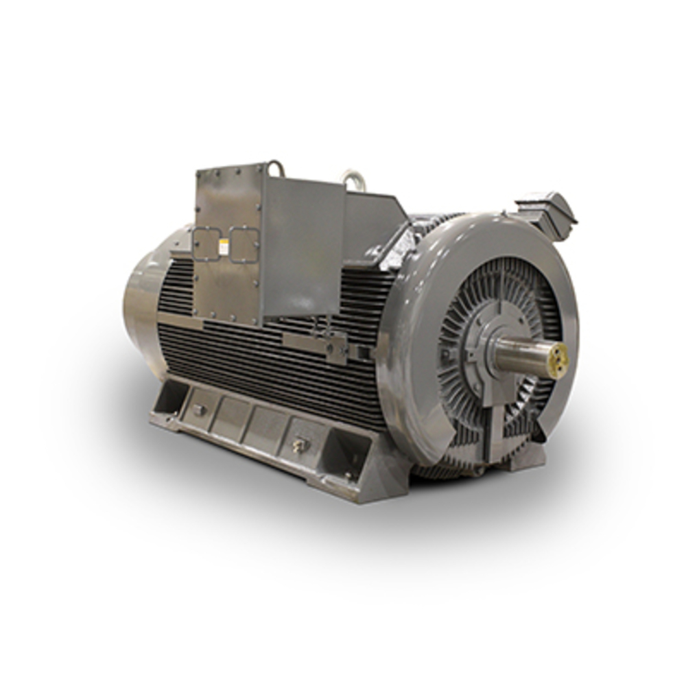 TECO KG3504 Medium Voltage Motor - cemotors