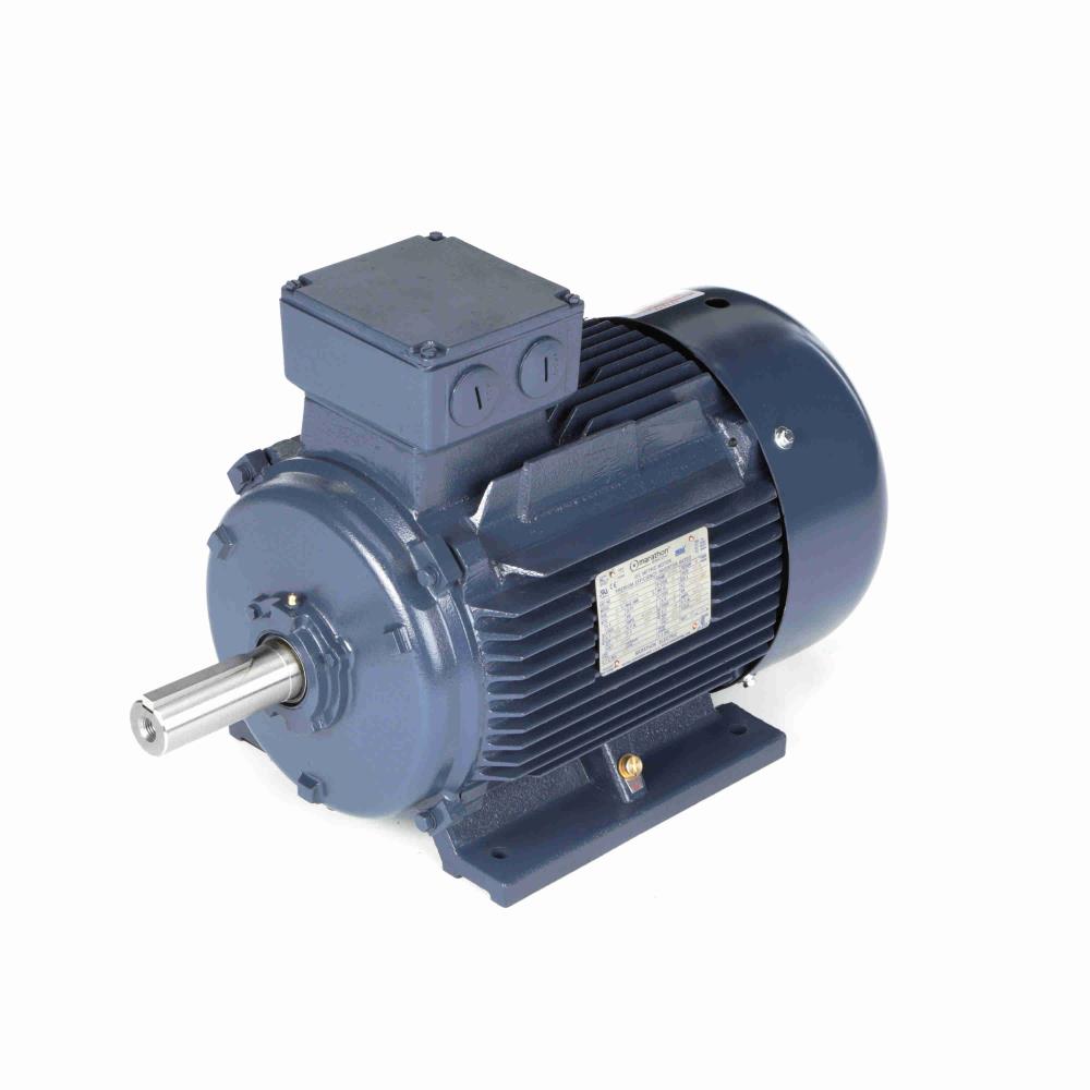 Marathon R339B Three Phase, TEFC IEC Motor - cemotors