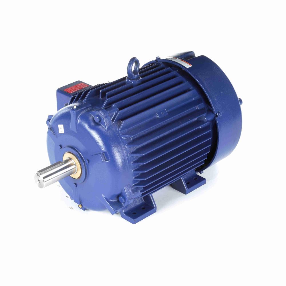 Marathon W556 IEEE 841 Motor - cemotors