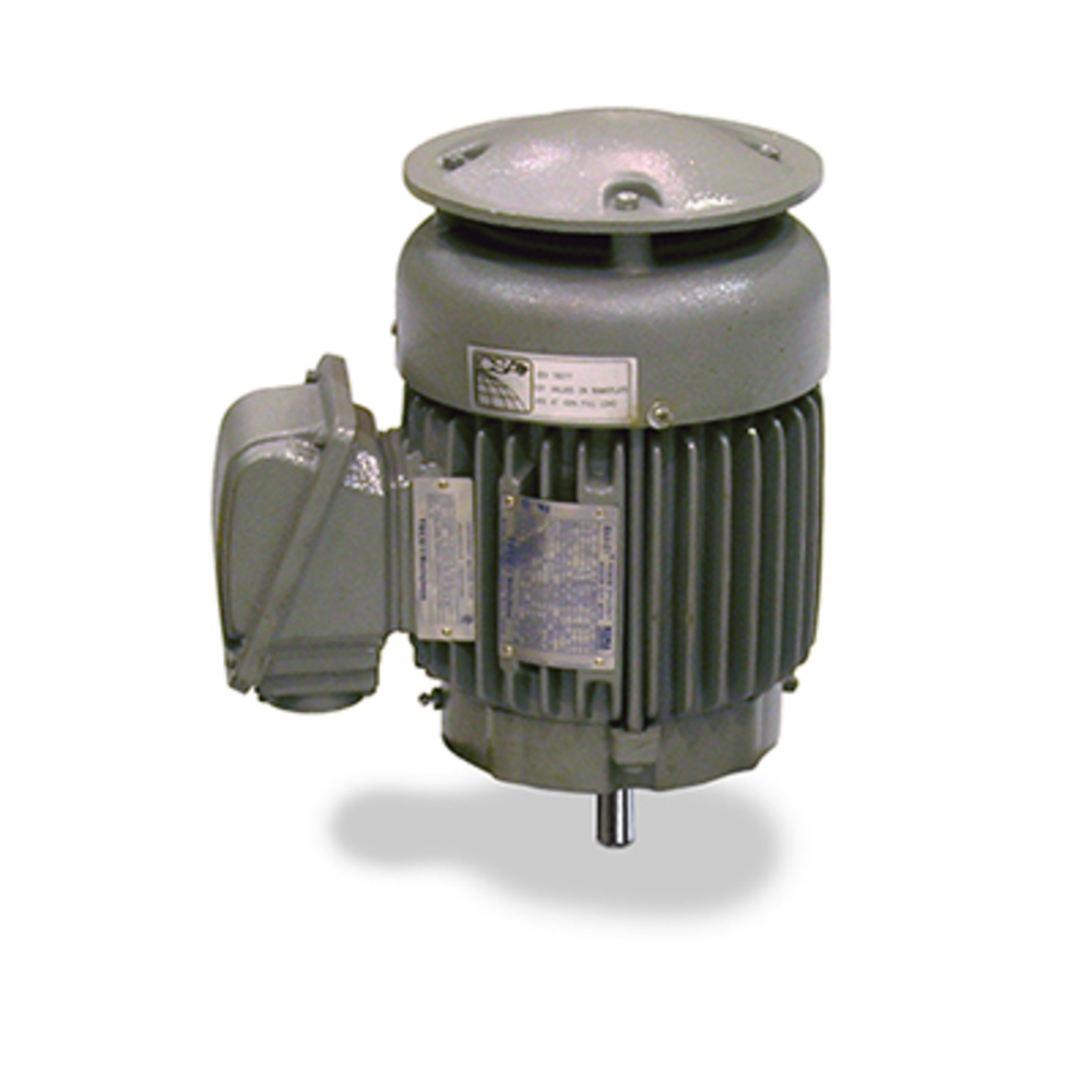 TECO NPV0156P Vertical Solid Shaft Motor - cemotors