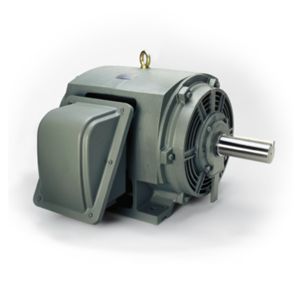 TECO P3002 Medium Voltage Motor - cemotors
