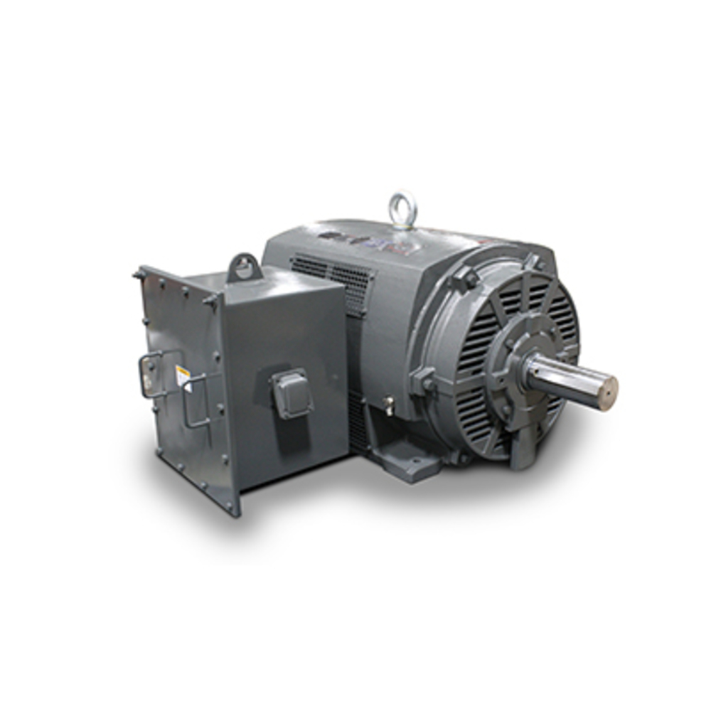 TECO PG10004 Medium Voltage Motor - cemotors