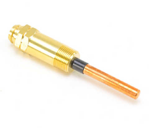 Hydrolevel EW202 Extended Electro-Well - cemotors